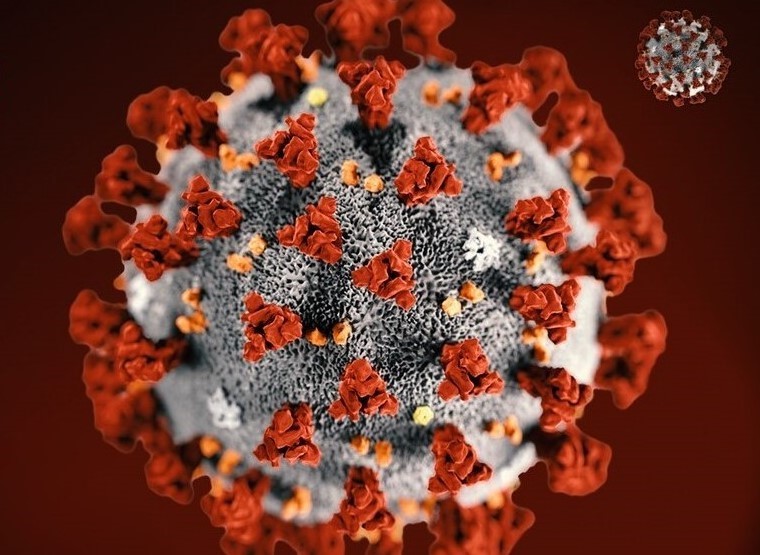 COVID-19 Statement from the Center